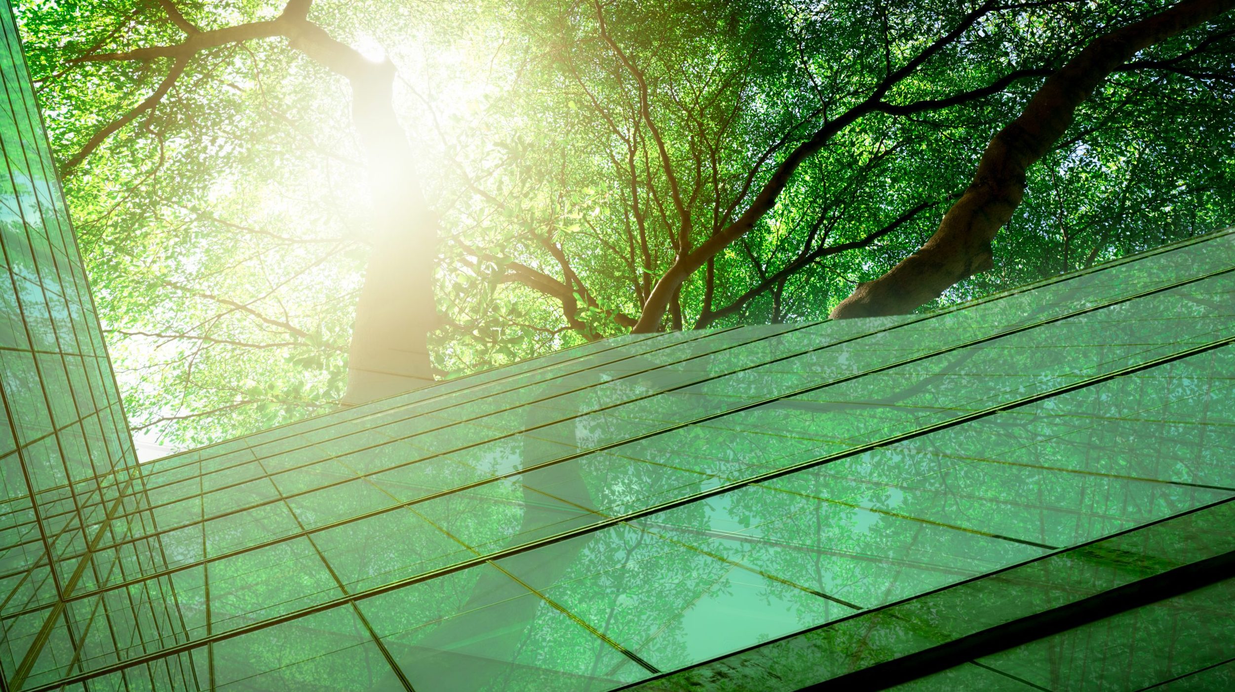 Home - YoungProfs | Accelerating change